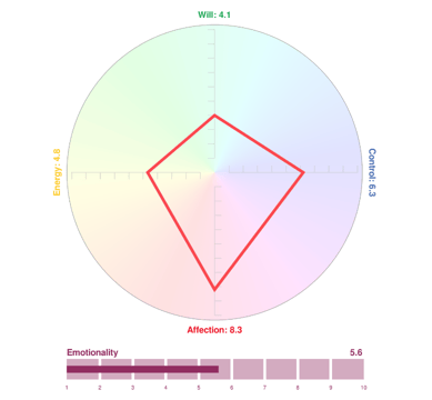 What is Facet5 personality profiling and how does it work?