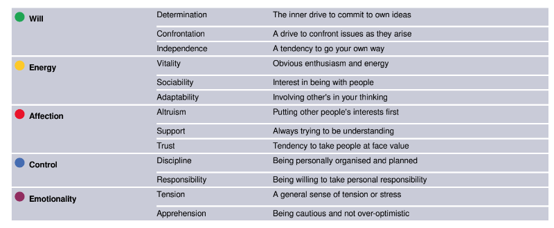 What is Facet5 personality profiling and how does it work?