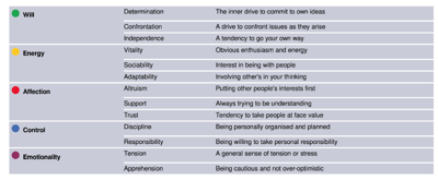 What is Facet5 personality profiling and how does it work?