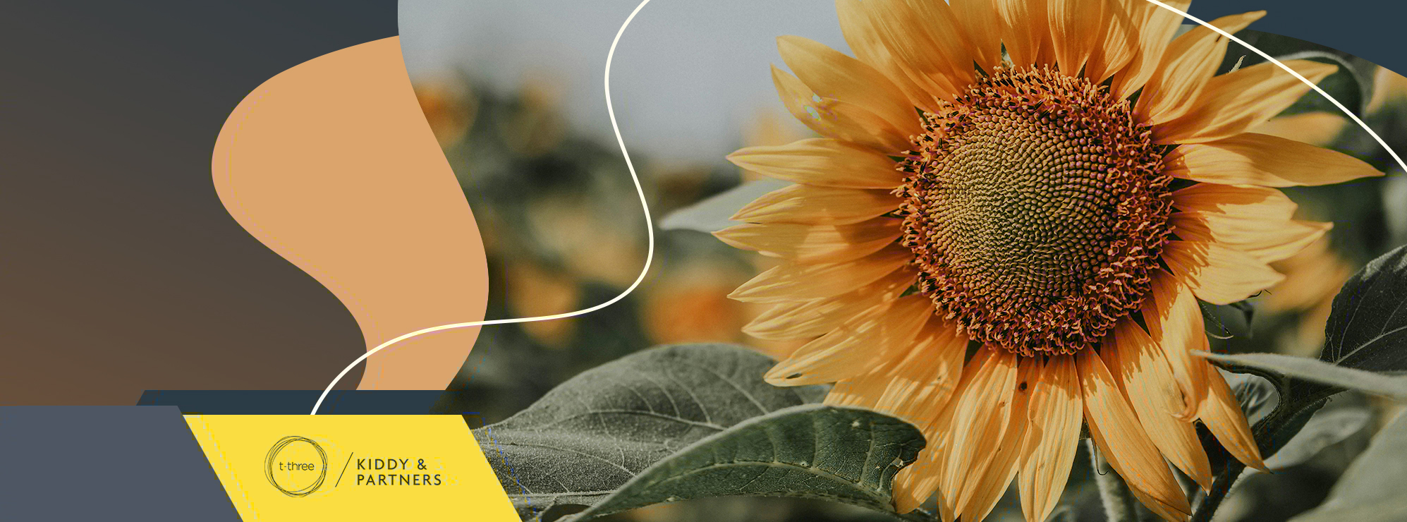 What is the Hidden Disabilities Sunflower?