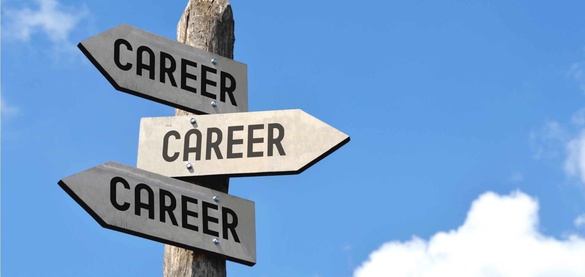 How do our personality traits influence our career choices?