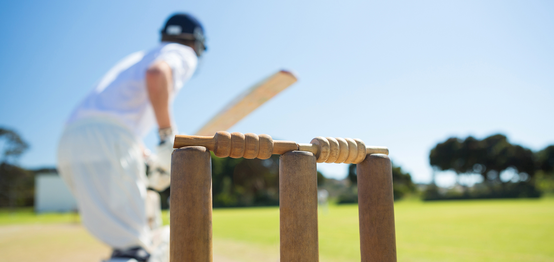 What can cricket teach us about effective leadership?